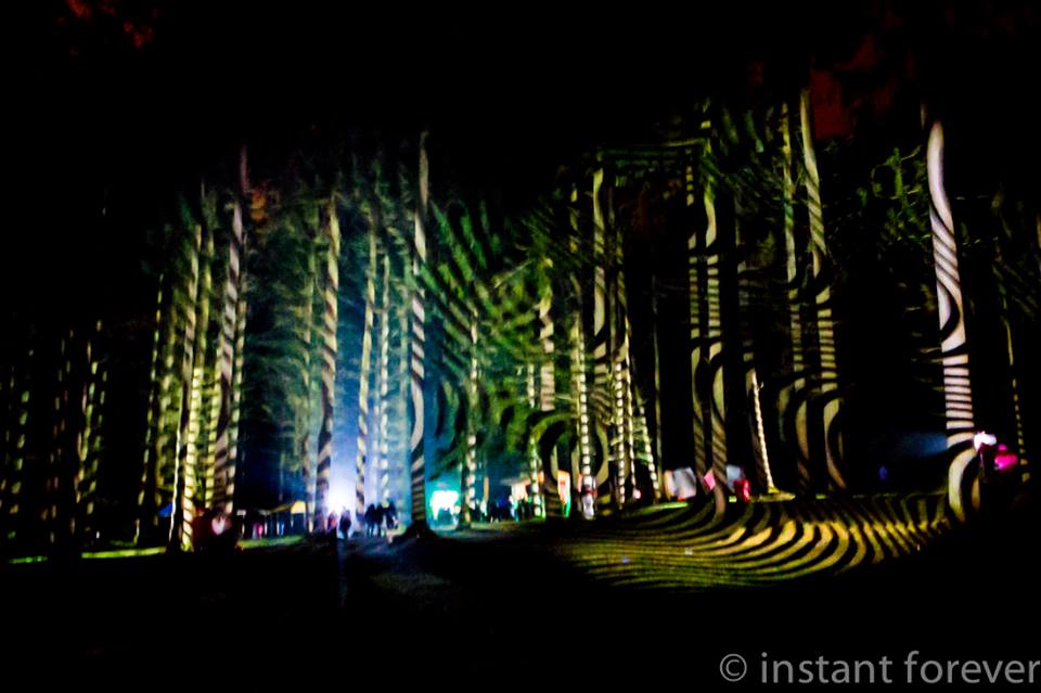 Projections On Buildings And Trees